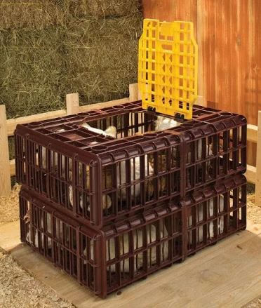 Guacal plástico para transporte de pollos 85 cm x 65 cm x 27cm - Tienda ...